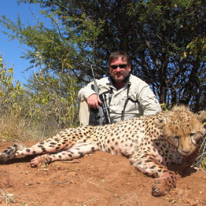 Cheetah Hunting