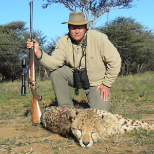 Cheetah Hunting