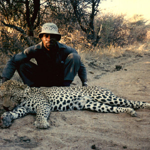 Hunting Leopard